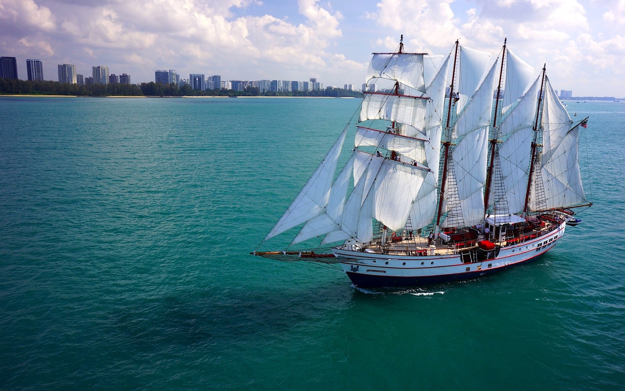 Royal Albatross | AZGO Tallship