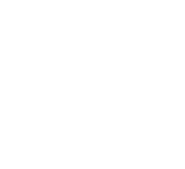 Beyond The Shore